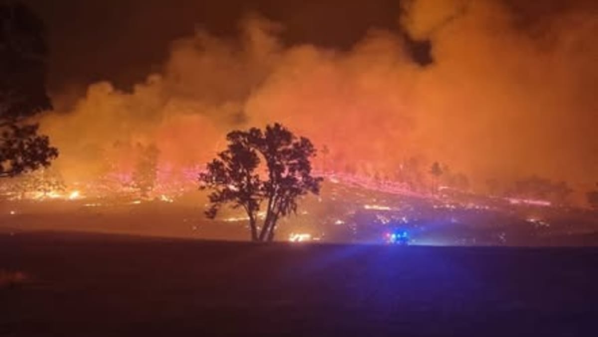 Australian bushfires raze homes, cut power to tens of thousands - SGNews