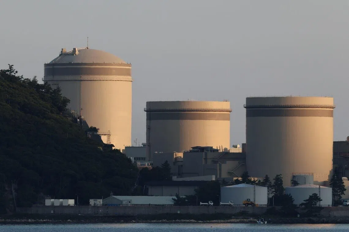 Japan's Minamitori Island ecosystem threatened by waste survey - SGNews